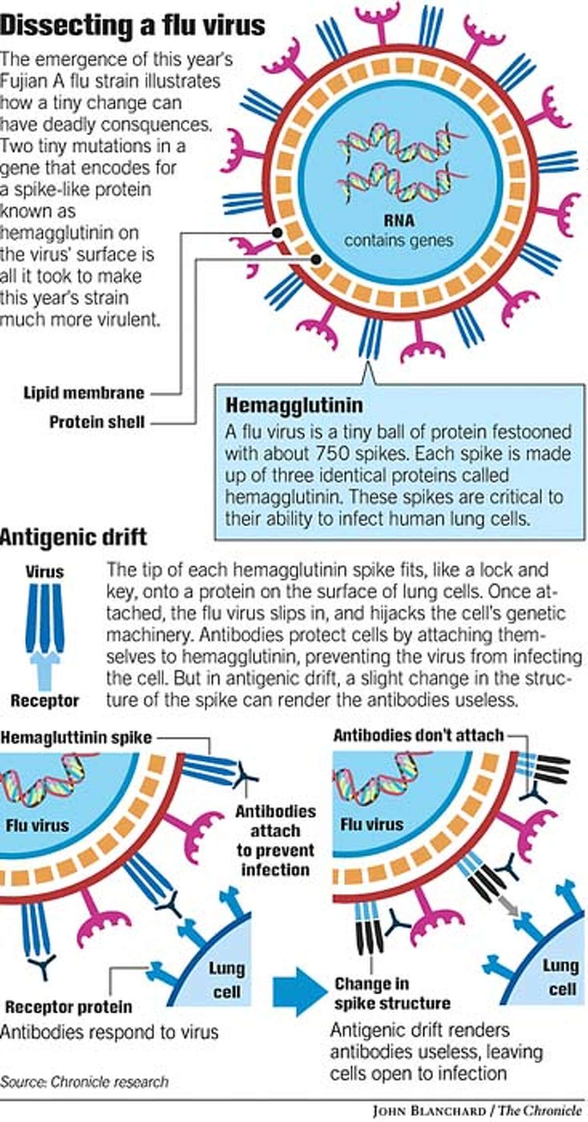 New flu strain could be harbinger of a pandemic / Wily virus able to ...