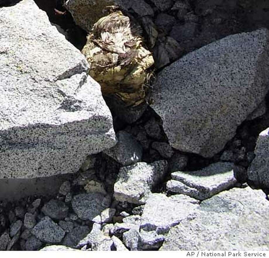 WWII airman's DNA will be used to identify recovered body - SFGate