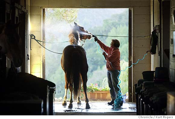 A stable community / Los Altos Hills unites to preserve Westwind barn ...