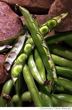 In praise of the humble and amazing bean / Nitrogen fixer, protein provider