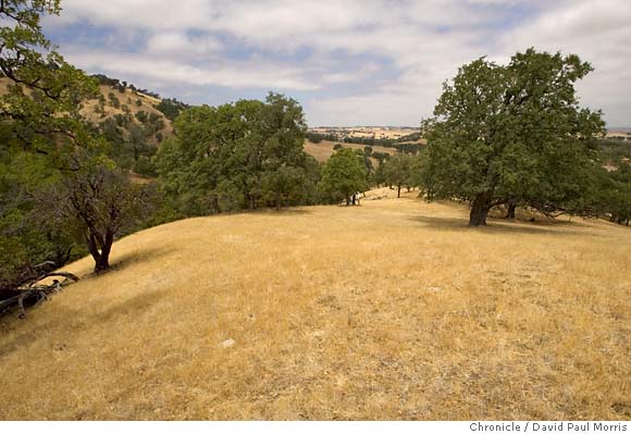 Yolo County ranch a site for agricultural-environmental cooperation