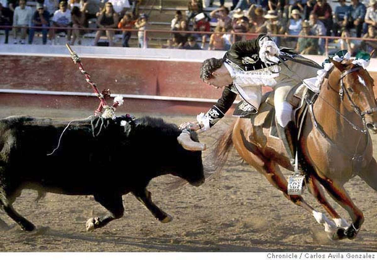 California's 'bloodless bullfights' keep Portuguese tradition alive
