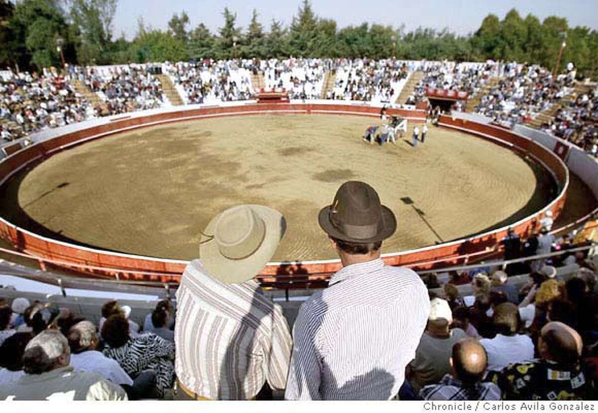 California's 'bloodless bullfights' keep Portuguese tradition alive