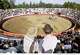 California's 'bloodless bullfights' keep Portuguese tradition alive