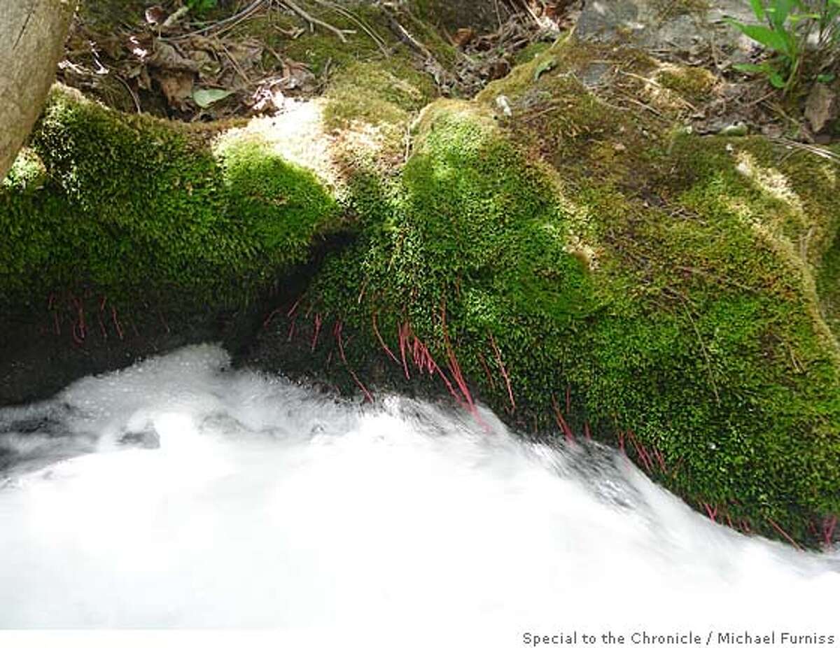 SIERRA CROSSING / First in an eight-part series by Tom Stienstra