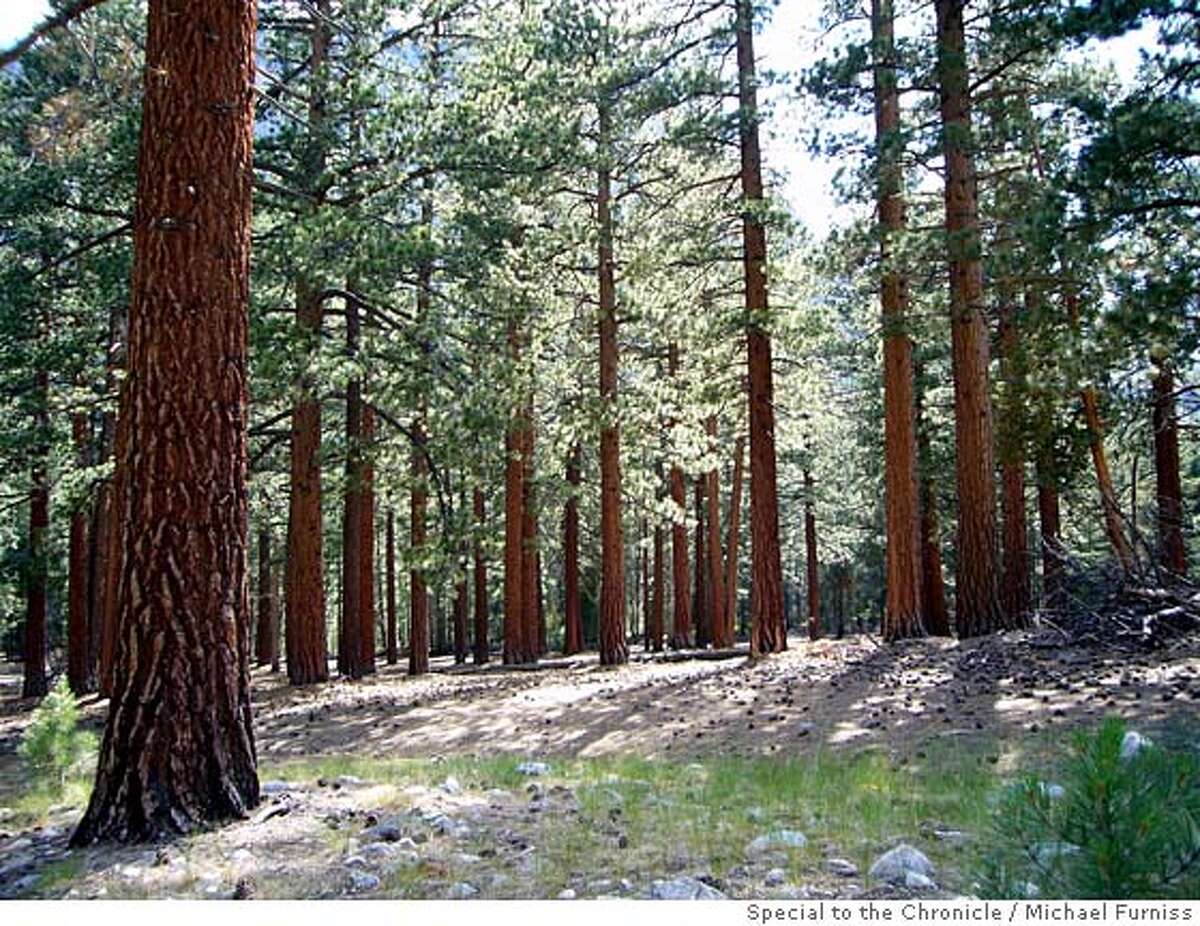 SIERRA CROSSING / First in an eight-part series by Tom Stienstra