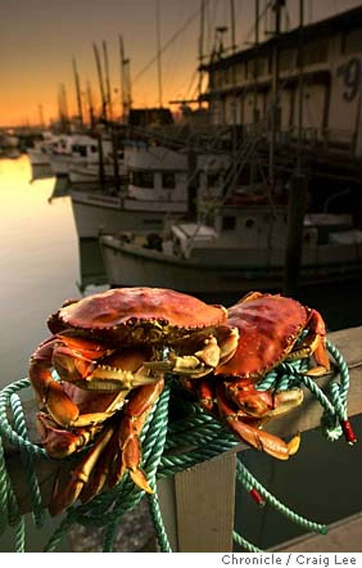 Crab, crab, crab, crab, crab / Eaten plain or dressed up fancy, there's ...