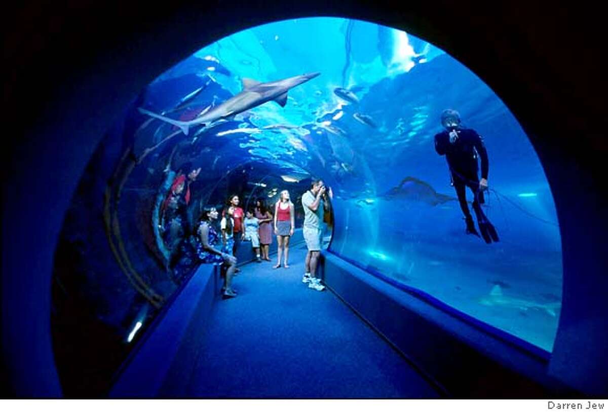 Dry encounters with denizens of Magic Isle's leeward reef