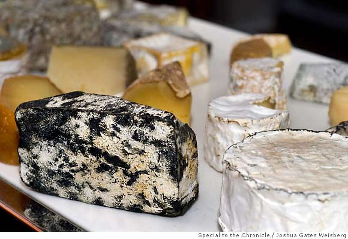 The dish on Los Angeles