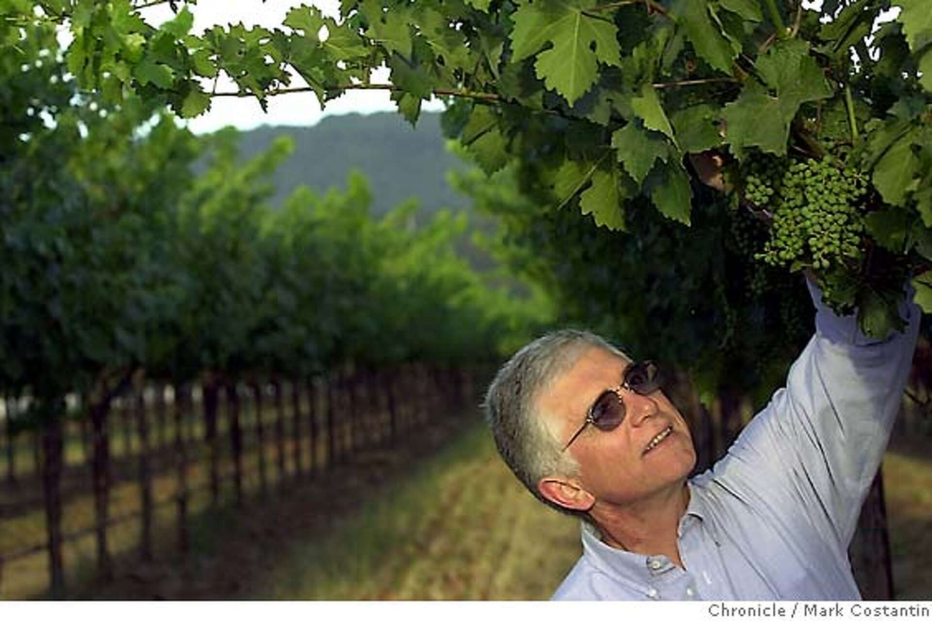 Why so few Napa Valley Chardonnays made the cut