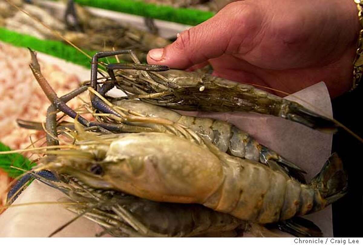 Life at the carniceria / Cooks crowd Latino butcher shops for pig's ...
