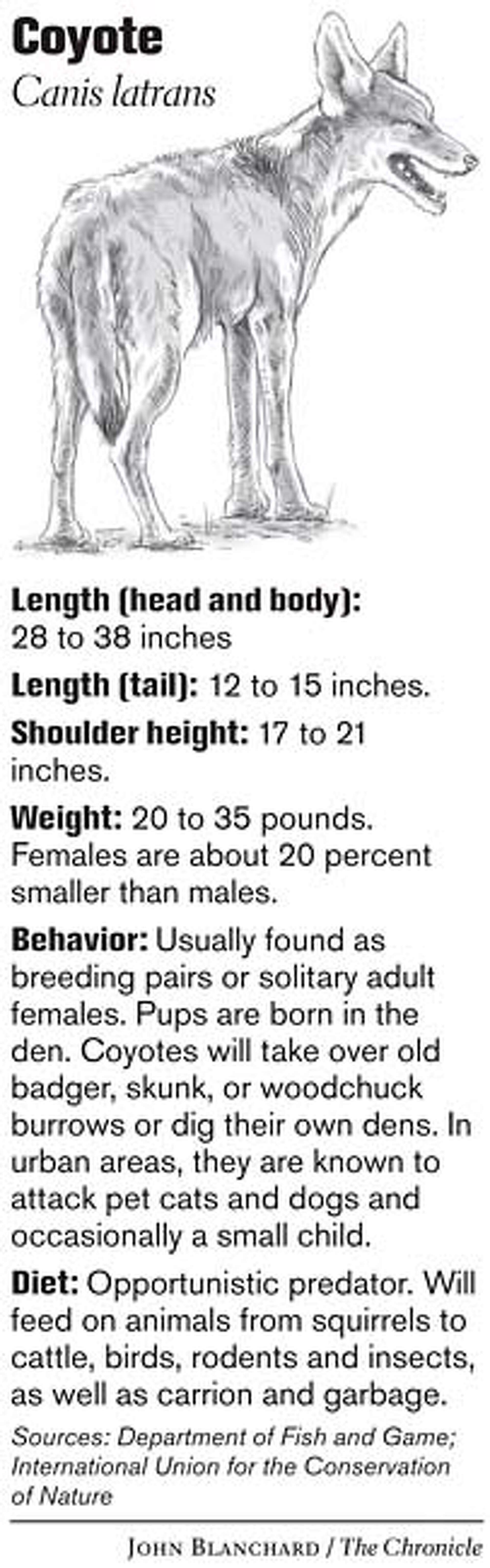 coyote attack dog statistics