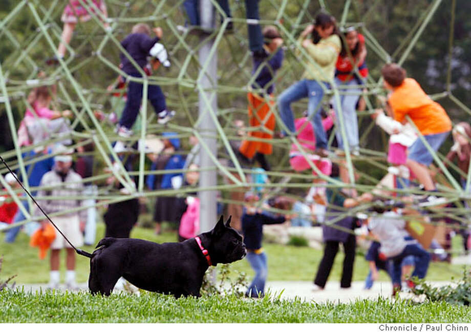 GOLDEN GATE PARK / Kids leap, slide, dig into remodeled playground - SFGate