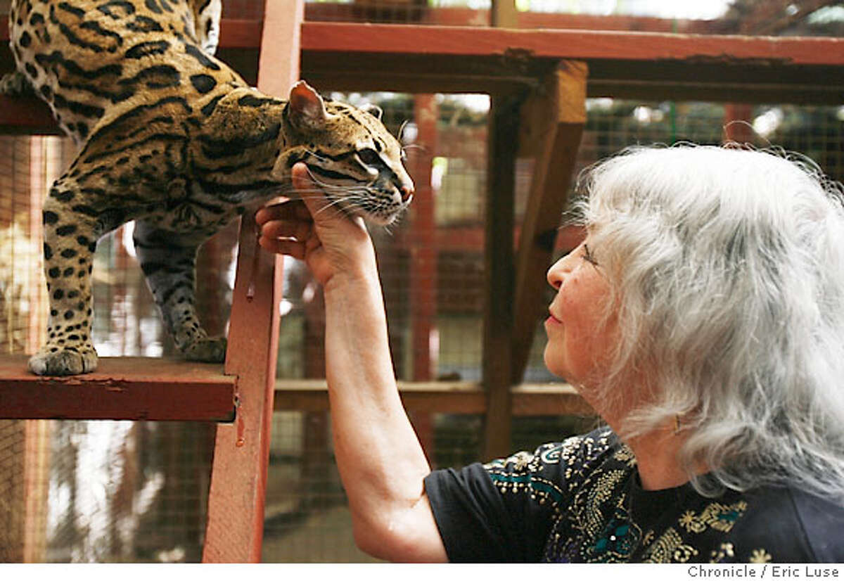 Channeling ancient Egypt in the vineyards / In Geyserville, Isis Oasis ...