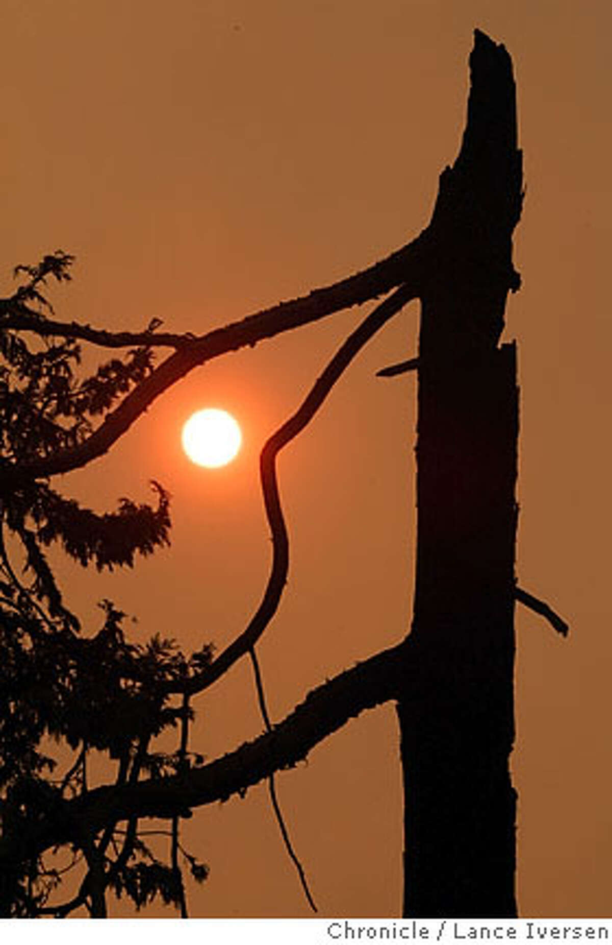 Residents returning to fire-ravaged areas