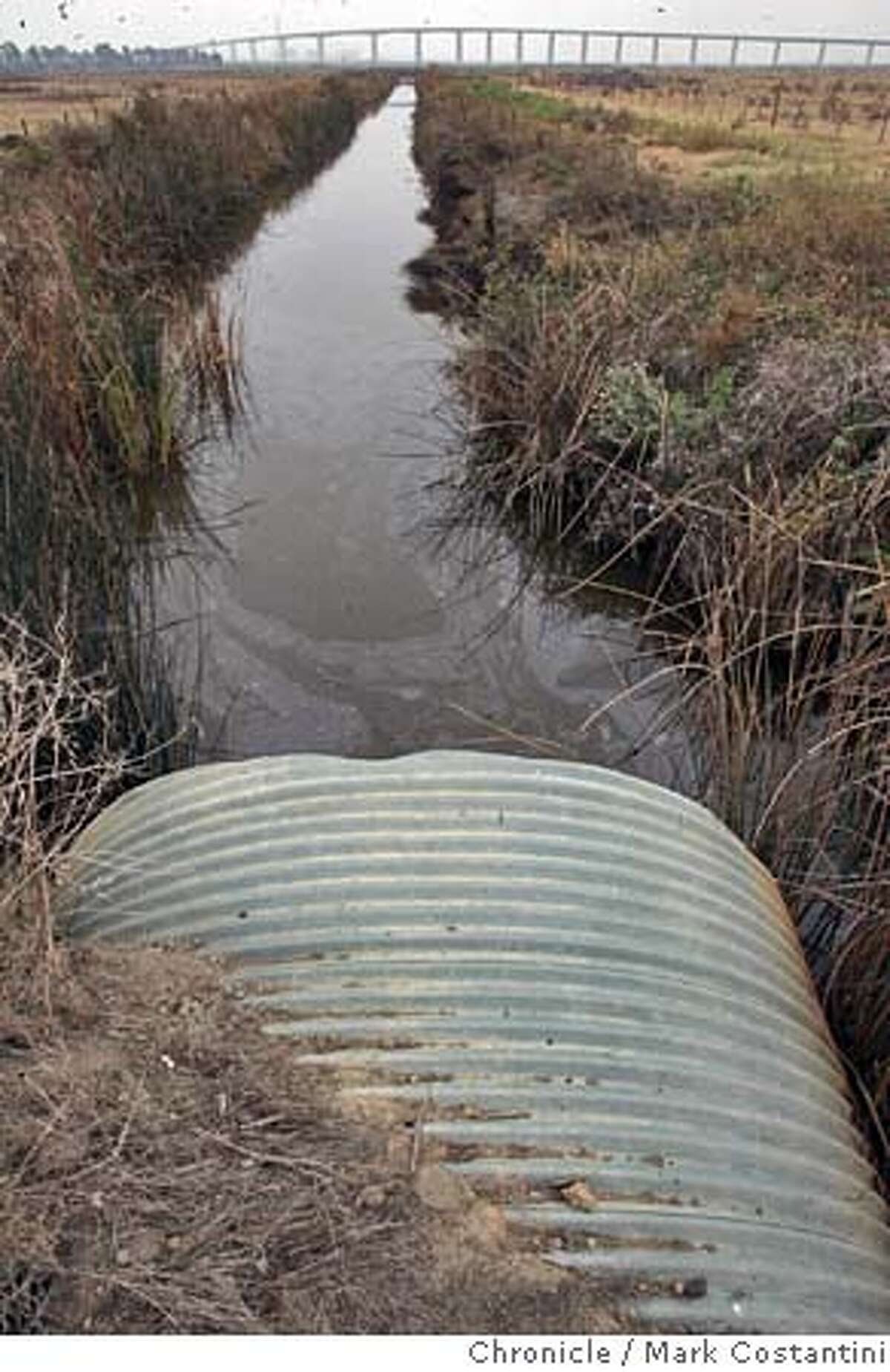 NEW DAWN FOR THE DELTA? / As levee instability leaves the Bay Area ...