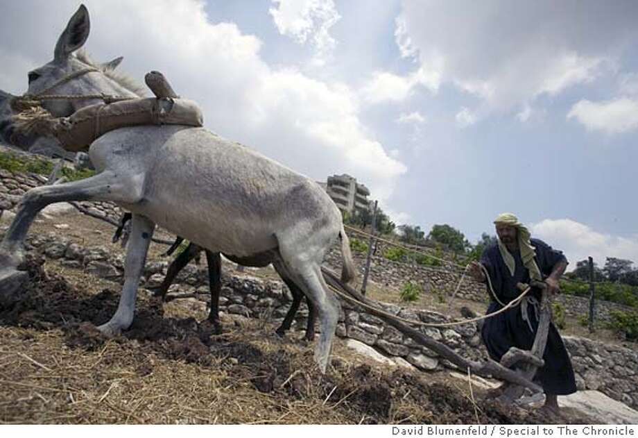 Nazareth Village re-creates life as Jesus knew it / Replica designed to ...