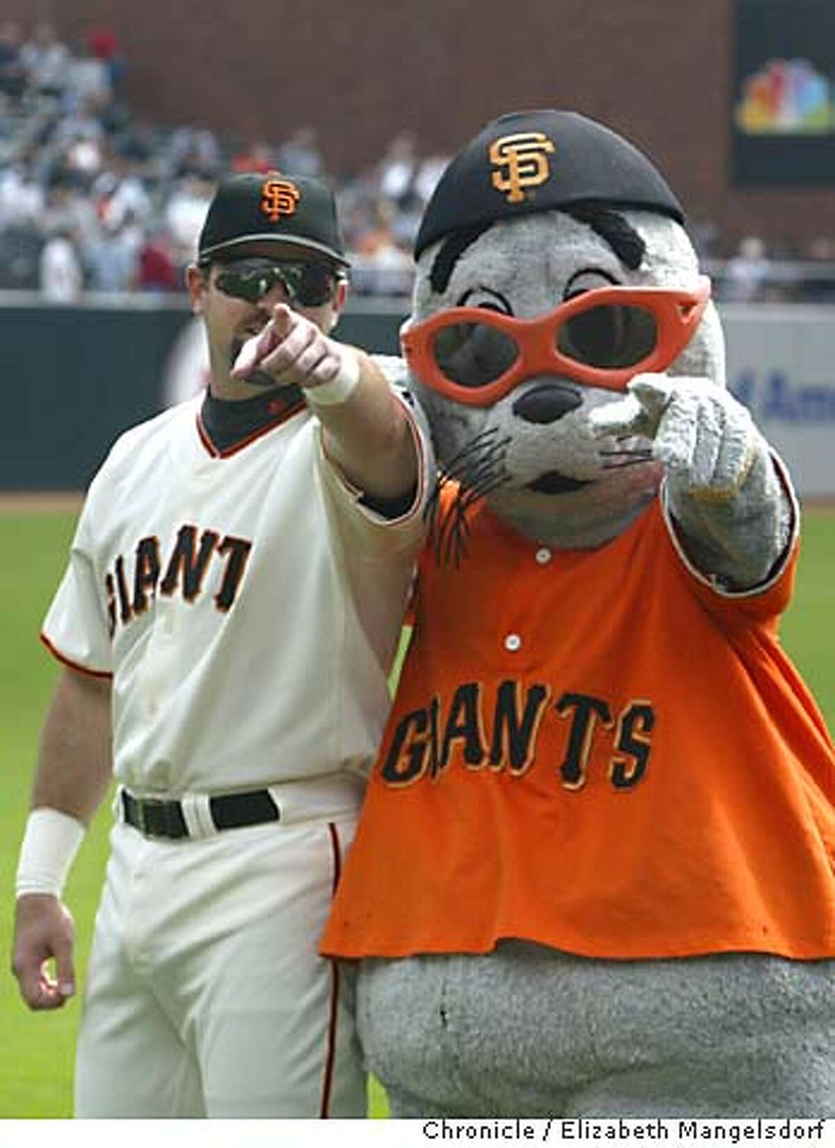 Seal of approval / Mascot Lou Seal has become a true Giant in his field ...