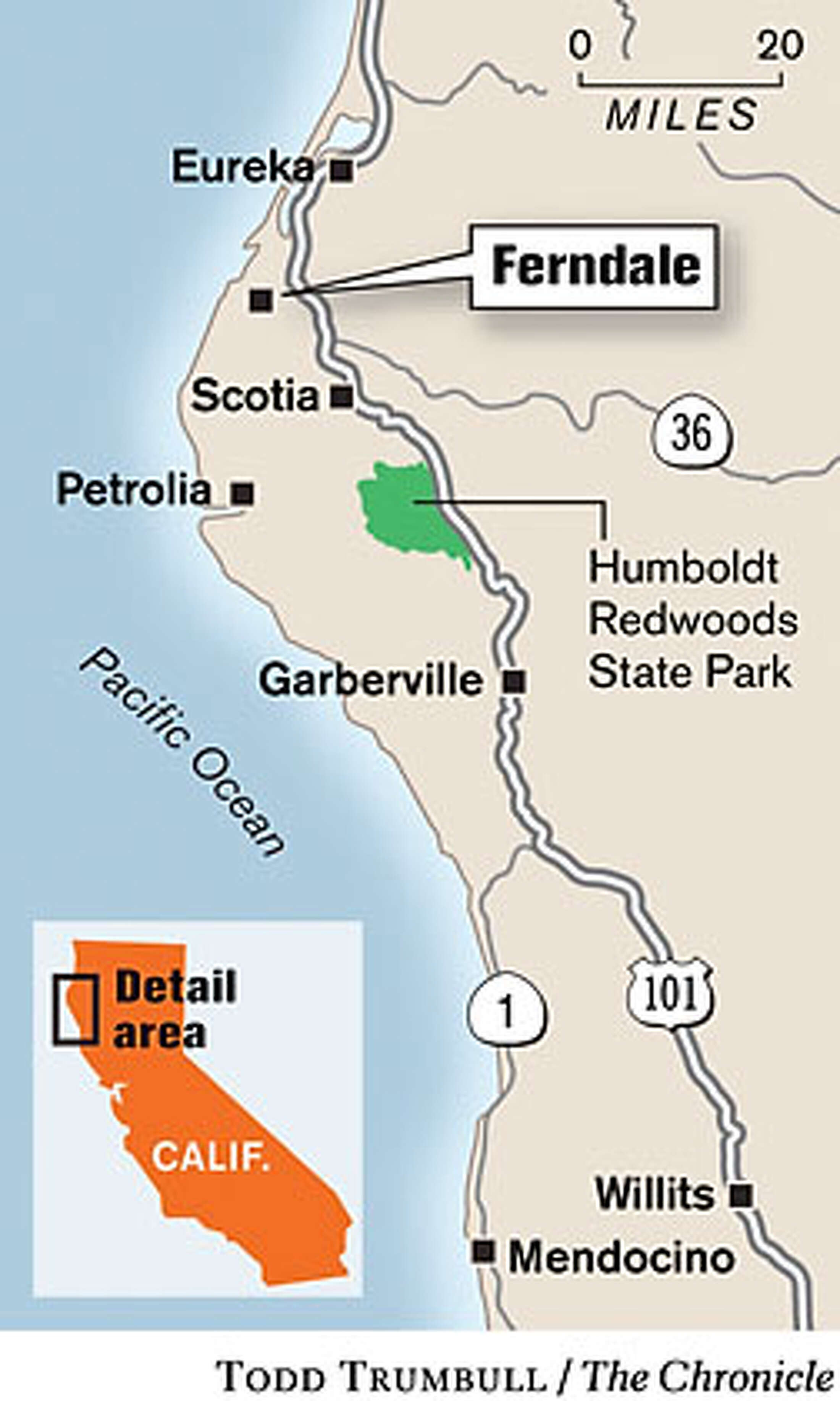 Ferndale's 'butterfat palaces' stand tall amid redwoods of the North ...
