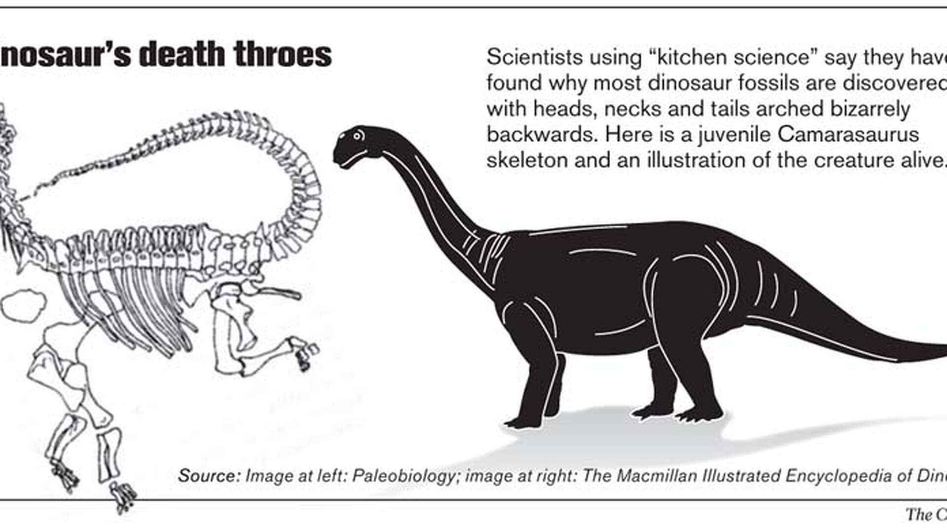 'Kitchen science' reveals dinosaurs died in agony