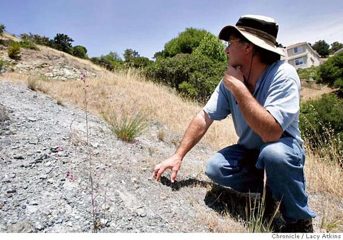 OAKLAND / Dispute over flower: habitat vs. housing