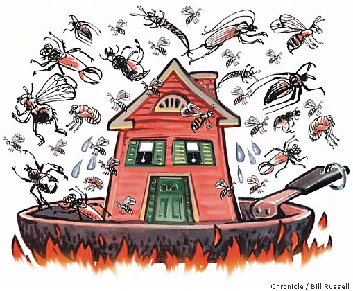 Turning the heat up under infested homes / Popular alternative to ...