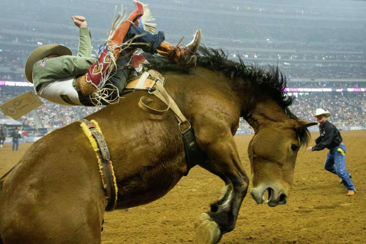 Rodeo competition