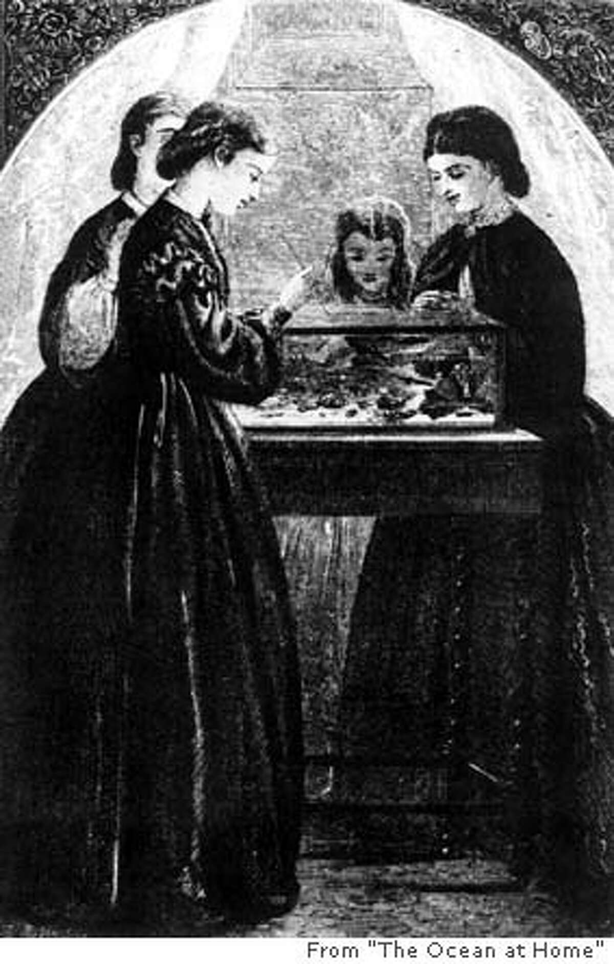 When the aquarium was a novelty / Victorian fish tanks brought ...