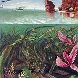 When the aquarium was a novelty / Victorian fish tanks brought ...