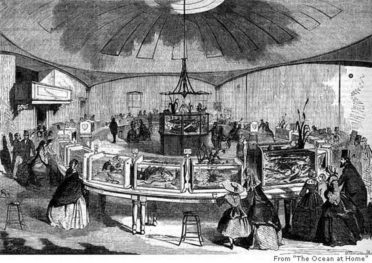 When the aquarium was a novelty / Victorian fish tanks brought ...