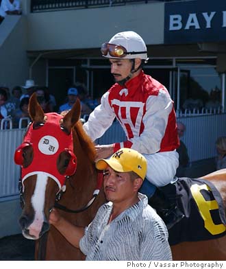 Seabiscuit's colors fly at fair