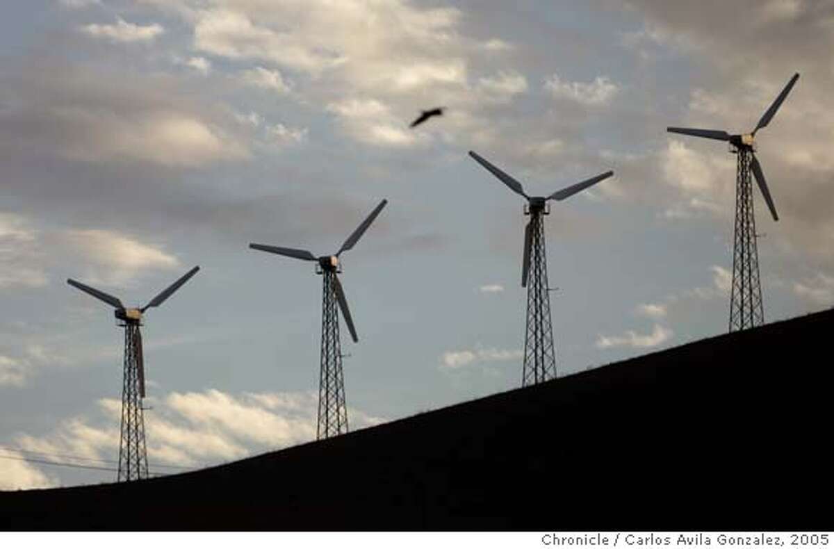 Cats, not windmills, bigger threat to birds / Bats more at risk, says ... Cats, not windmills, bigger threat to birds / Bats more at risk, says ...