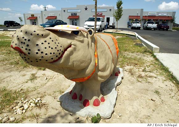 Hippo mania in Texas / Mayor turning town into theme park for big beast