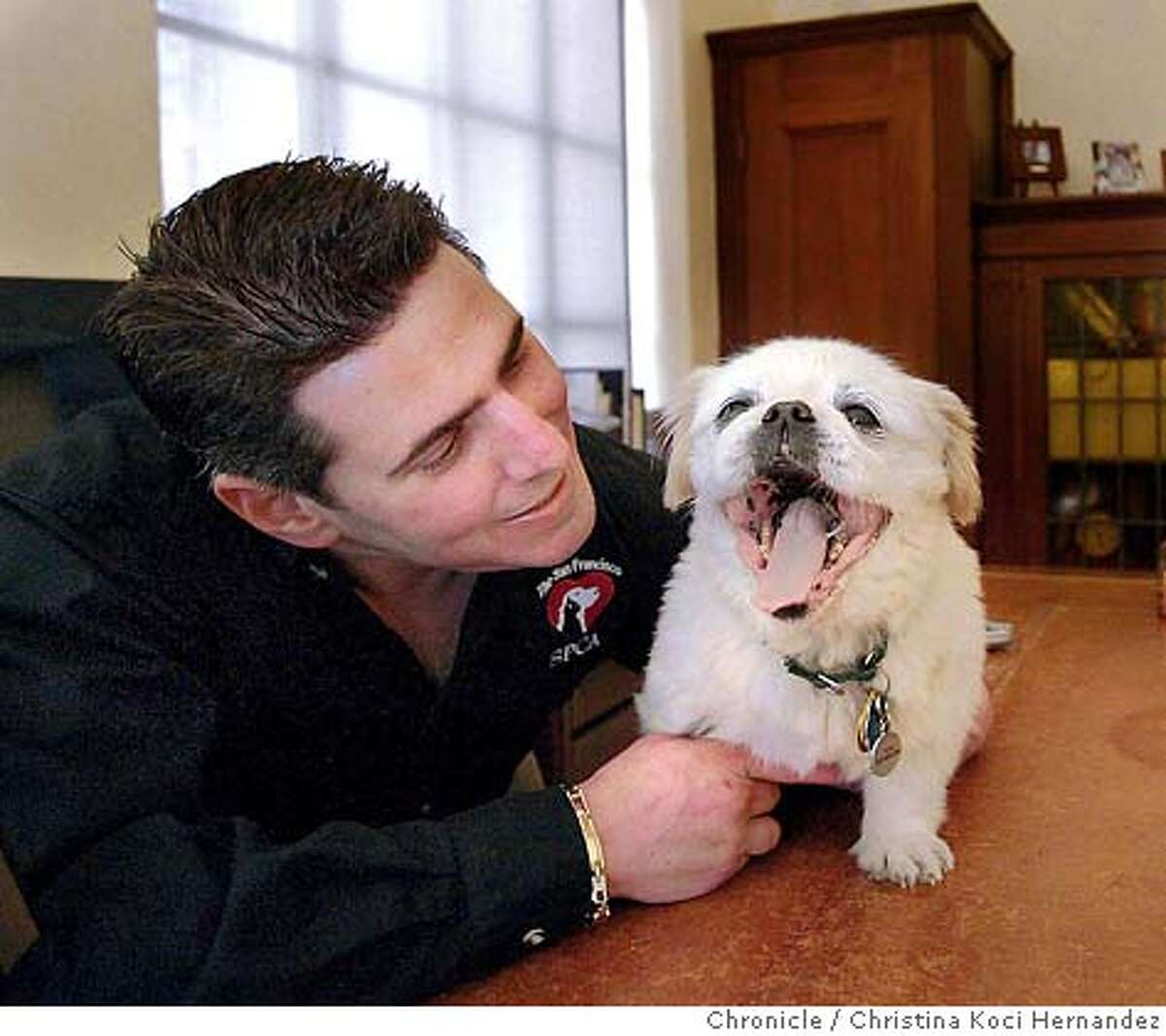 Mutts Rule / SPCA director Daniel Crain on why it's crucial to mix up ...