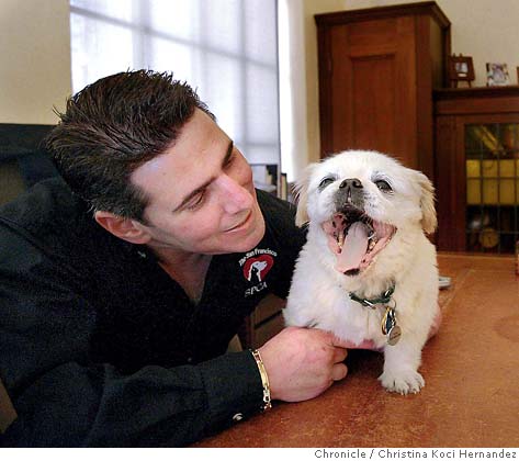 Mutts Rule / SPCA director Daniel Crain on why it's crucial to mix up ...
