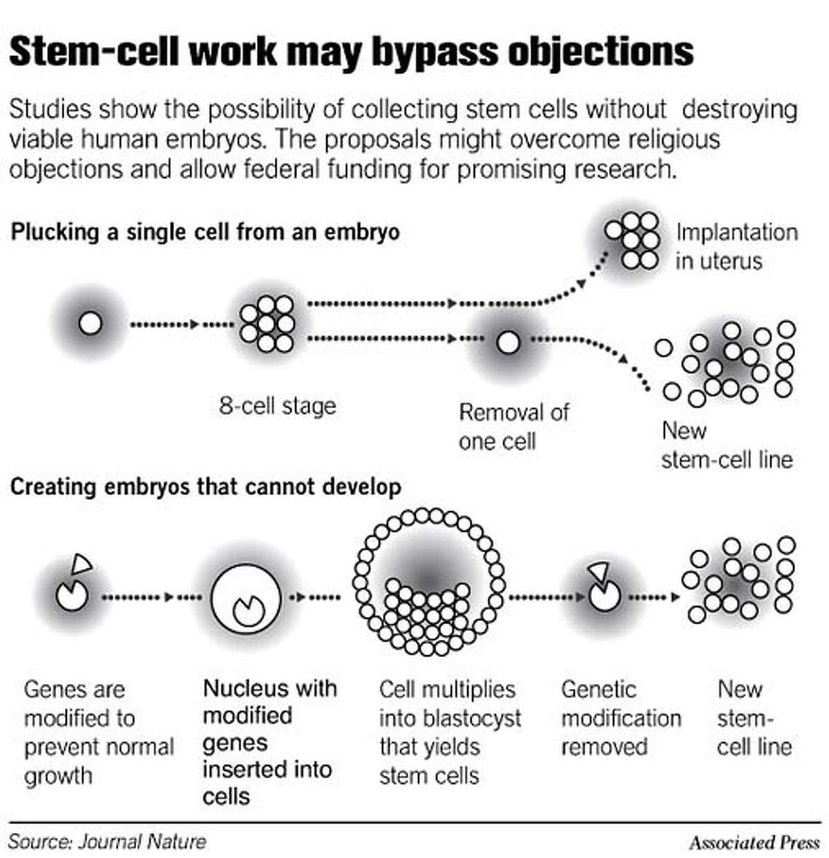 Stem cell strides may help resolve ethical dilemmas / New methods ...