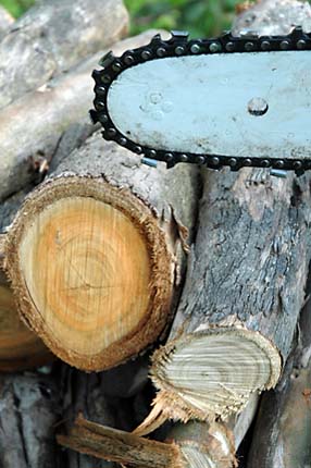 How I learned to love the chain saw