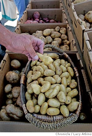 Little potatoes a big success