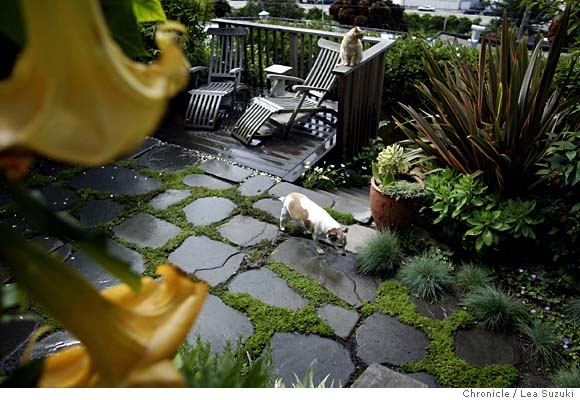 Great small spaces: Maximizing your mini garden