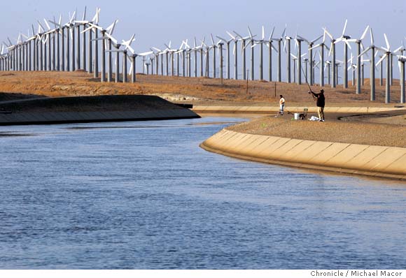 JUDGE ORDERS STATE: STOP KILLING DELTA FISH / Agency told to obey law ...