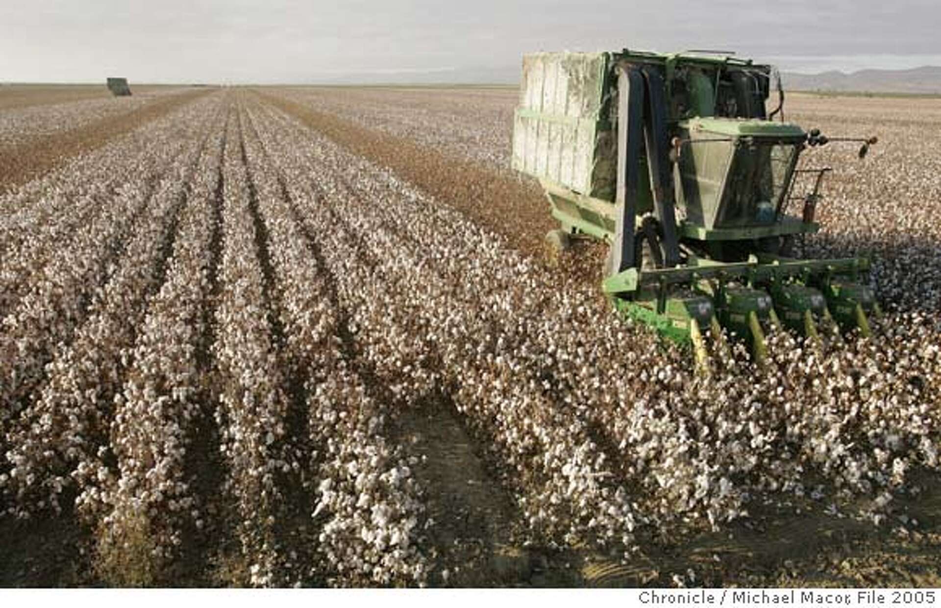 JUDGE ORDERS STATE: STOP KILLING DELTA FISH / Agency told to obey law ...