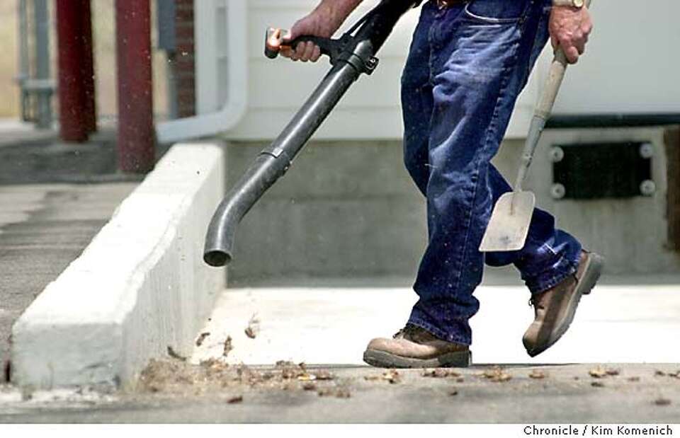 Plague of crickets besieges town / Elko, Nev., residents fight back ...