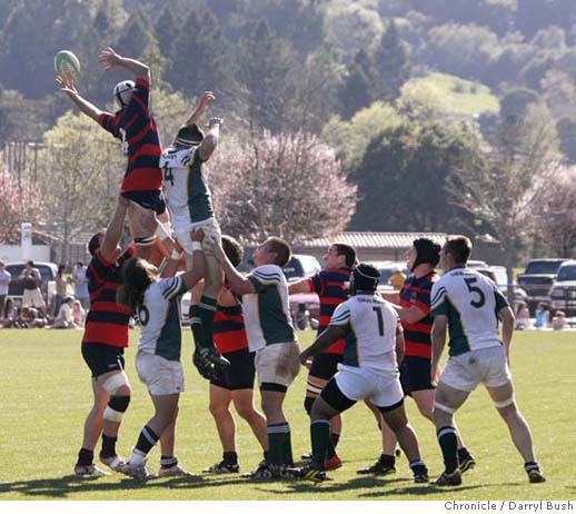 St. Mary's plays rugby challenger to Cal's Goliath