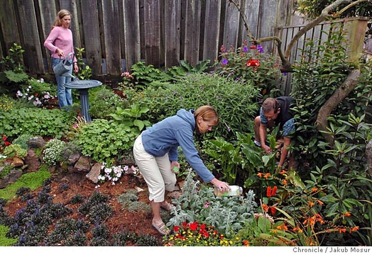 One-day family intervention remakes cash-strapped new homeowner's yard