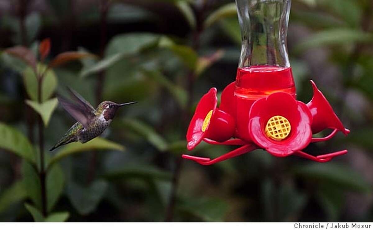 One-day family intervention remakes cash-strapped new homeowner's yard