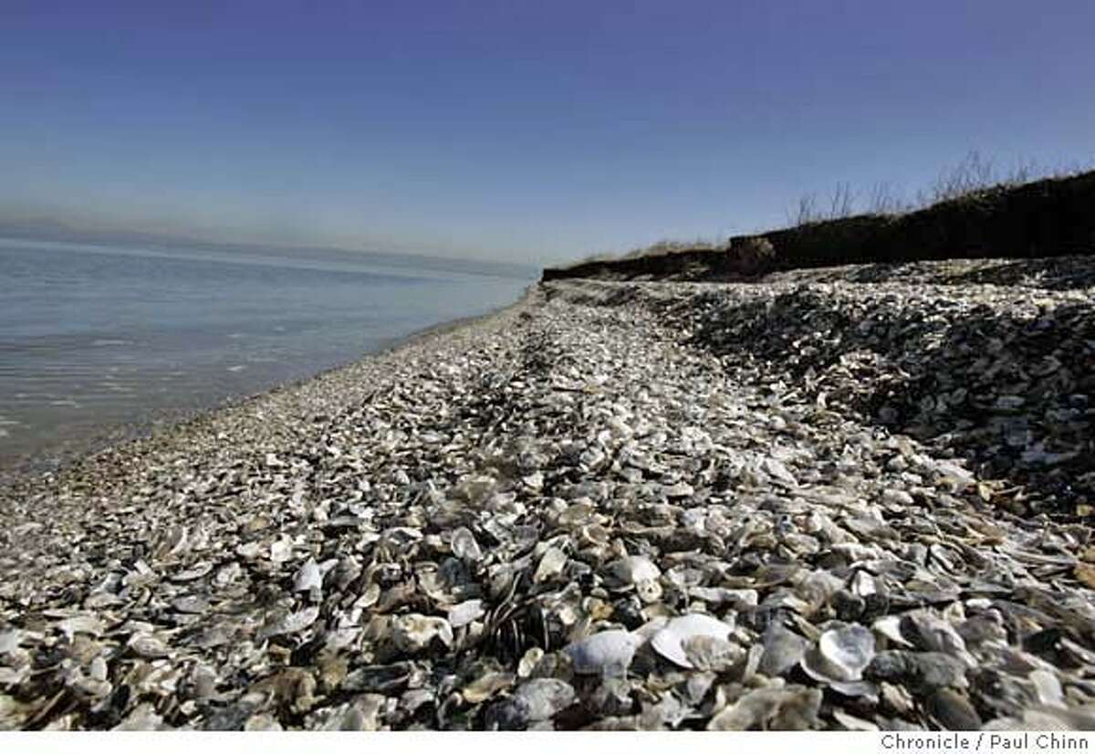 NEW LIFE FOR BAY SANCTUARY / Once farmland, salt ponds, Bair Island now ...