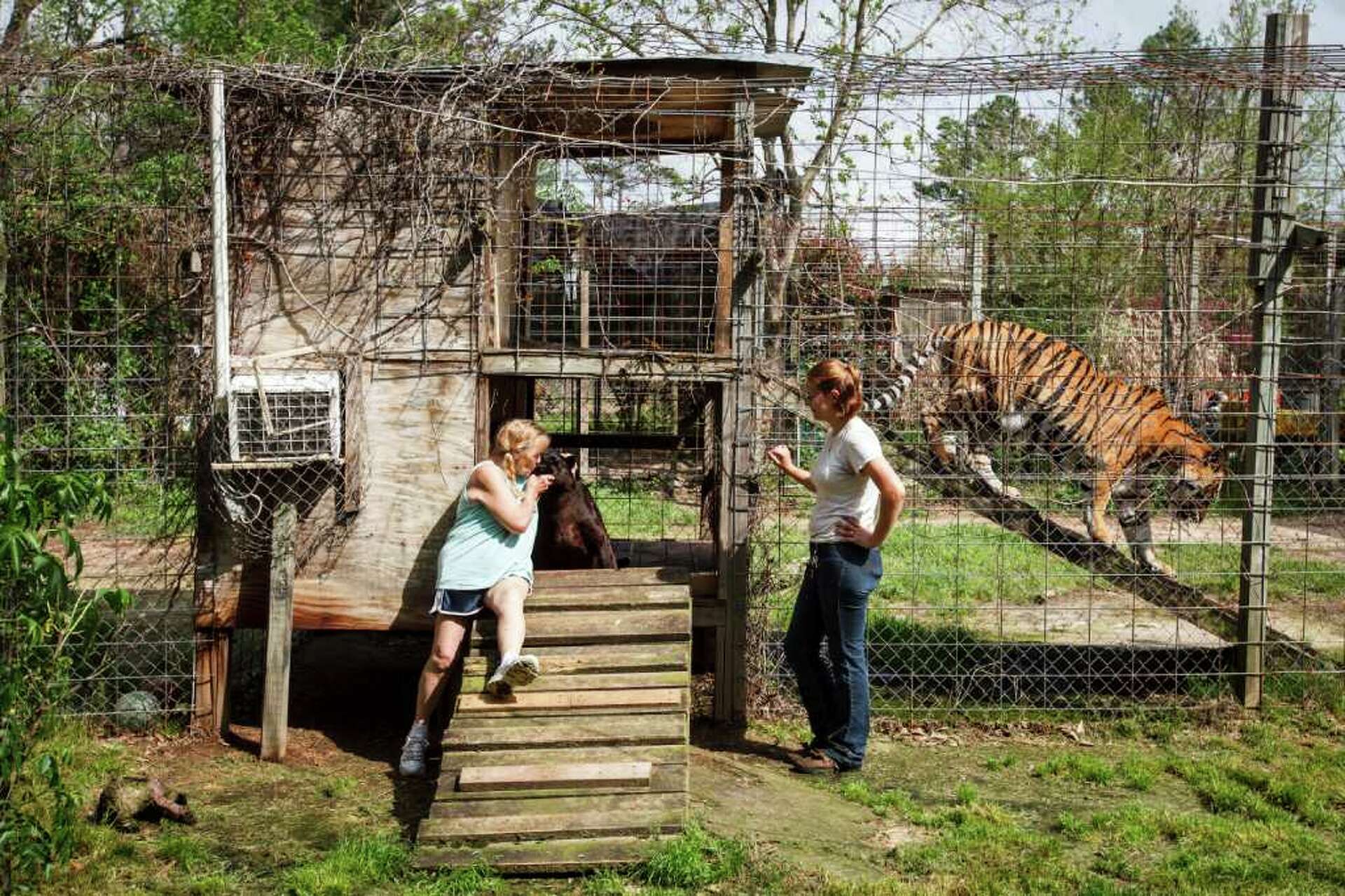 Dangerous exotic animals make home in Texas