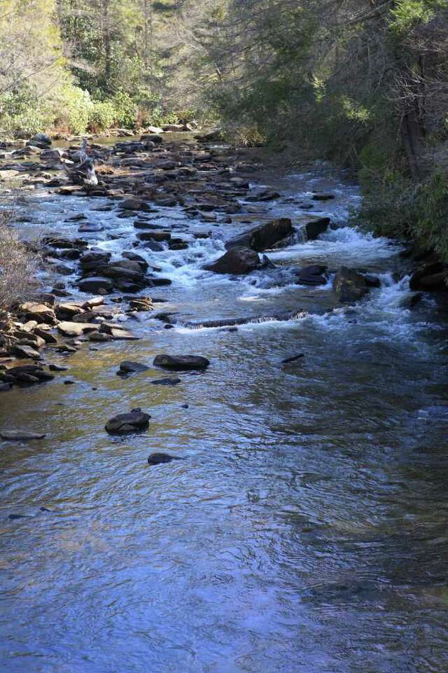 'Hunger Games' feeds visits to Tar Heel State