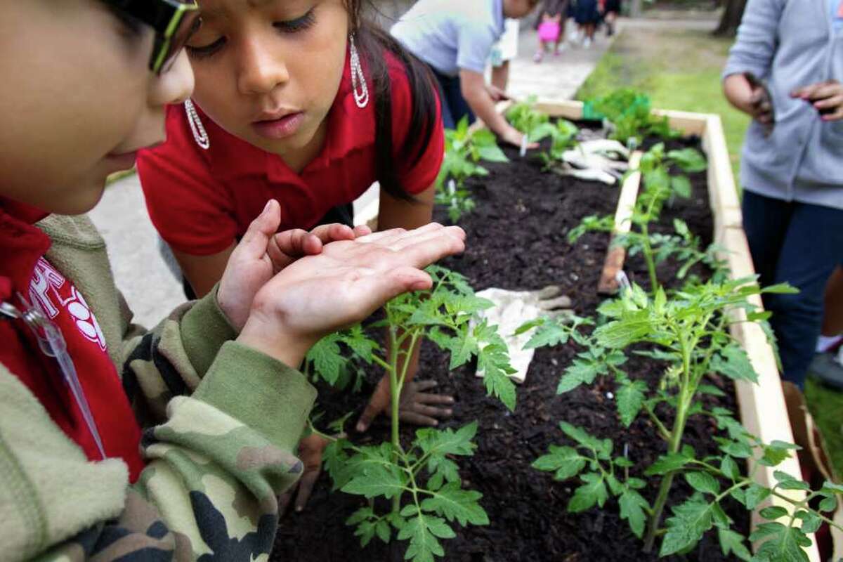 Learning through planting