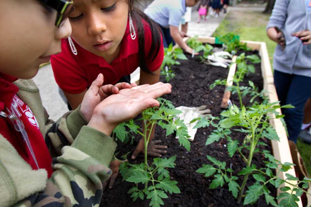 Learning through planting